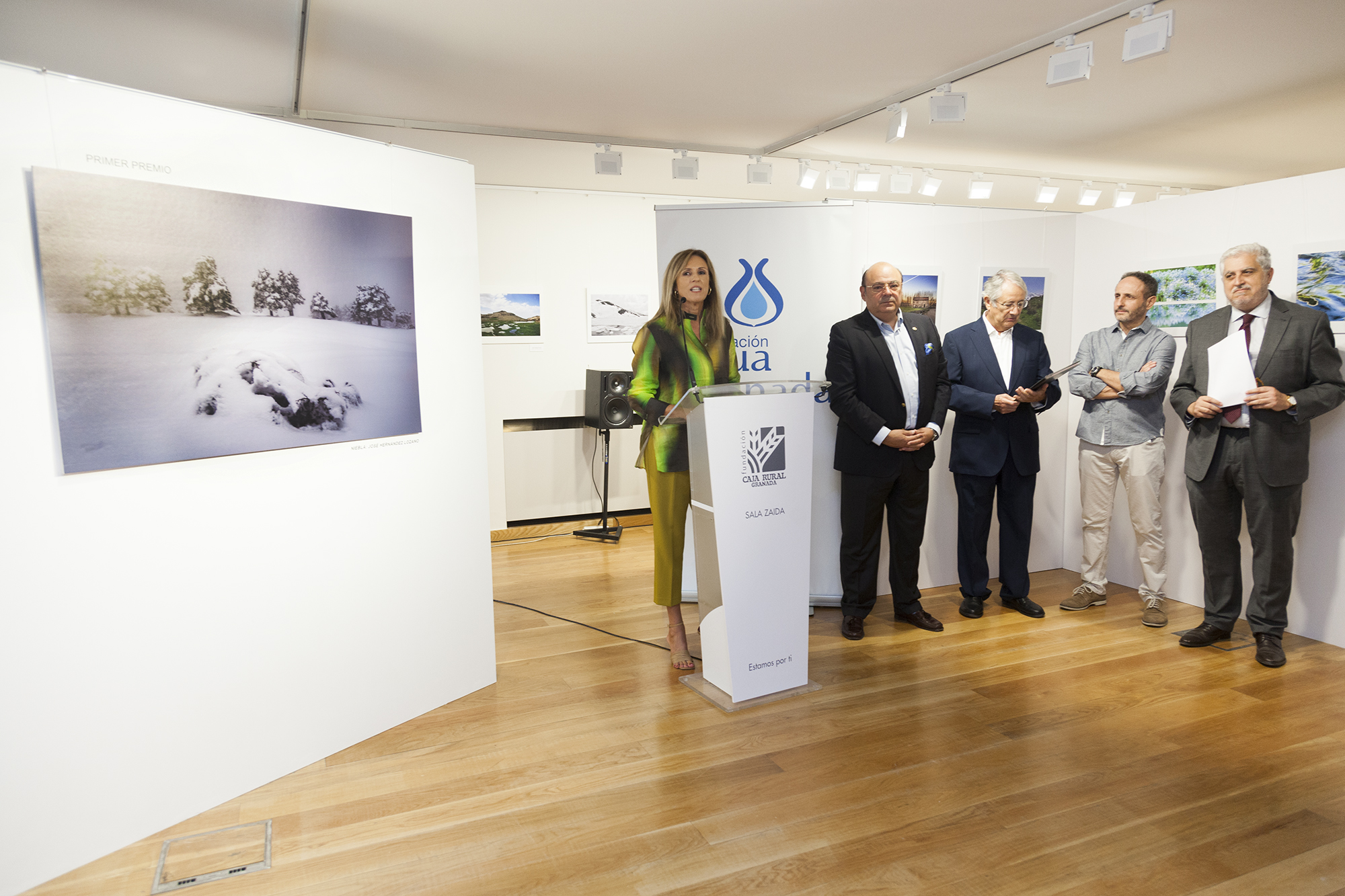 El Agua, Sierra Nevada y la Vega, claves de la nueva exposición ...
